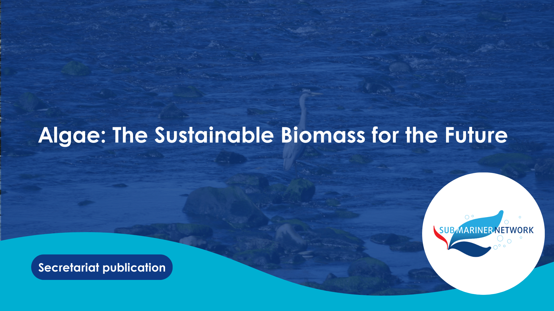 Algae: The Sustainable Biomass for the Future | Submariner Network for Blue Growth