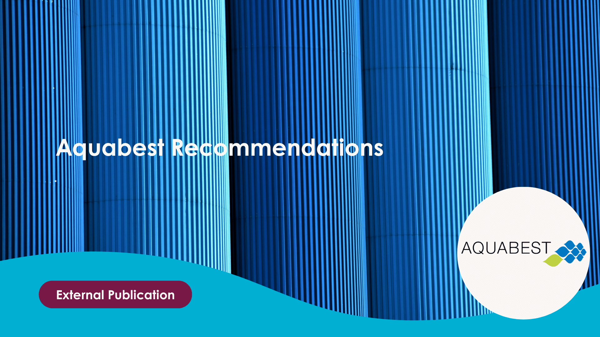 Aquabest Recommendations | Submariner Network for Blue Growth