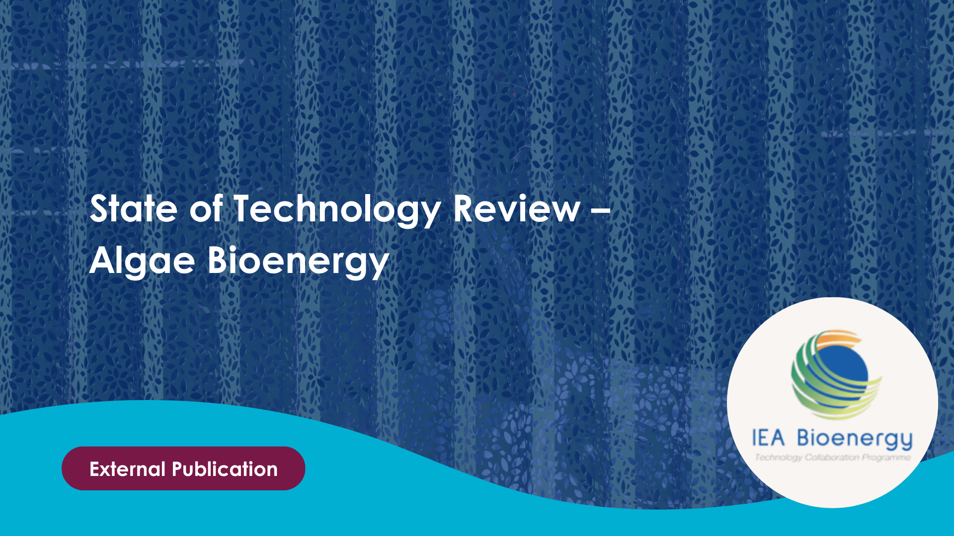 State of Technology Review – Algae Bioenergy | Submariner Network for ...