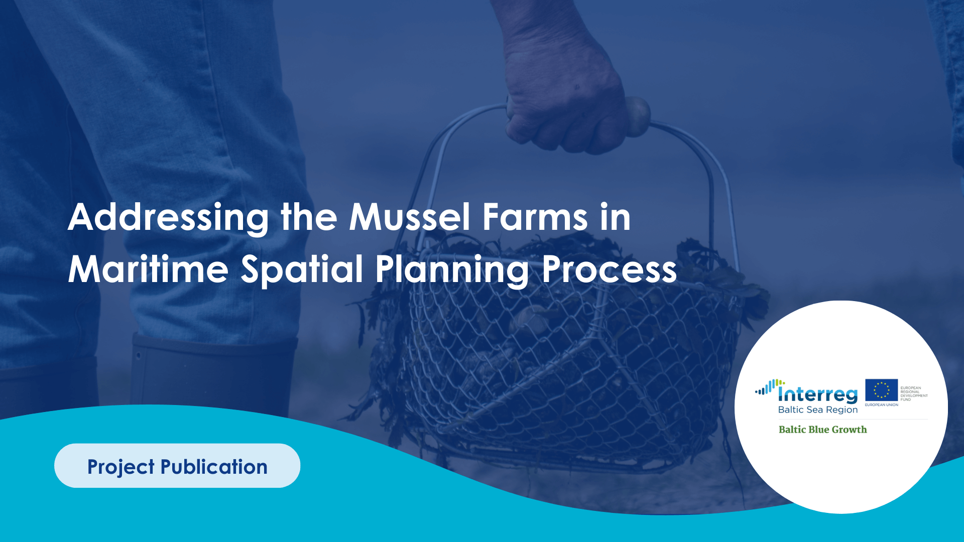 Baltic Blue Growth - Addressing the Mussel Farms in Maritime Spatial ...