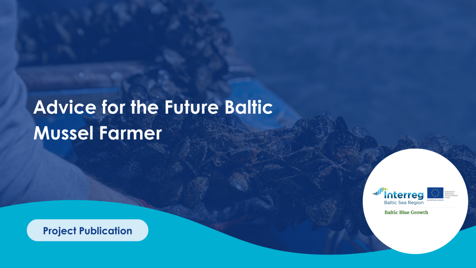 Baltic Blue Growth - Advice for the Future Baltic Mussel Farmer ...