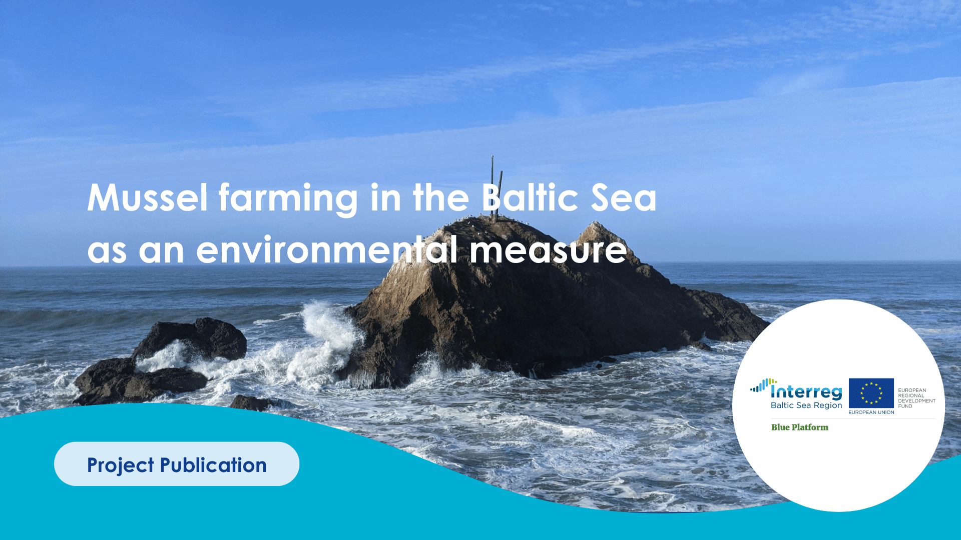 Mussel farming in the Baltic Sea as an environmental measure ...