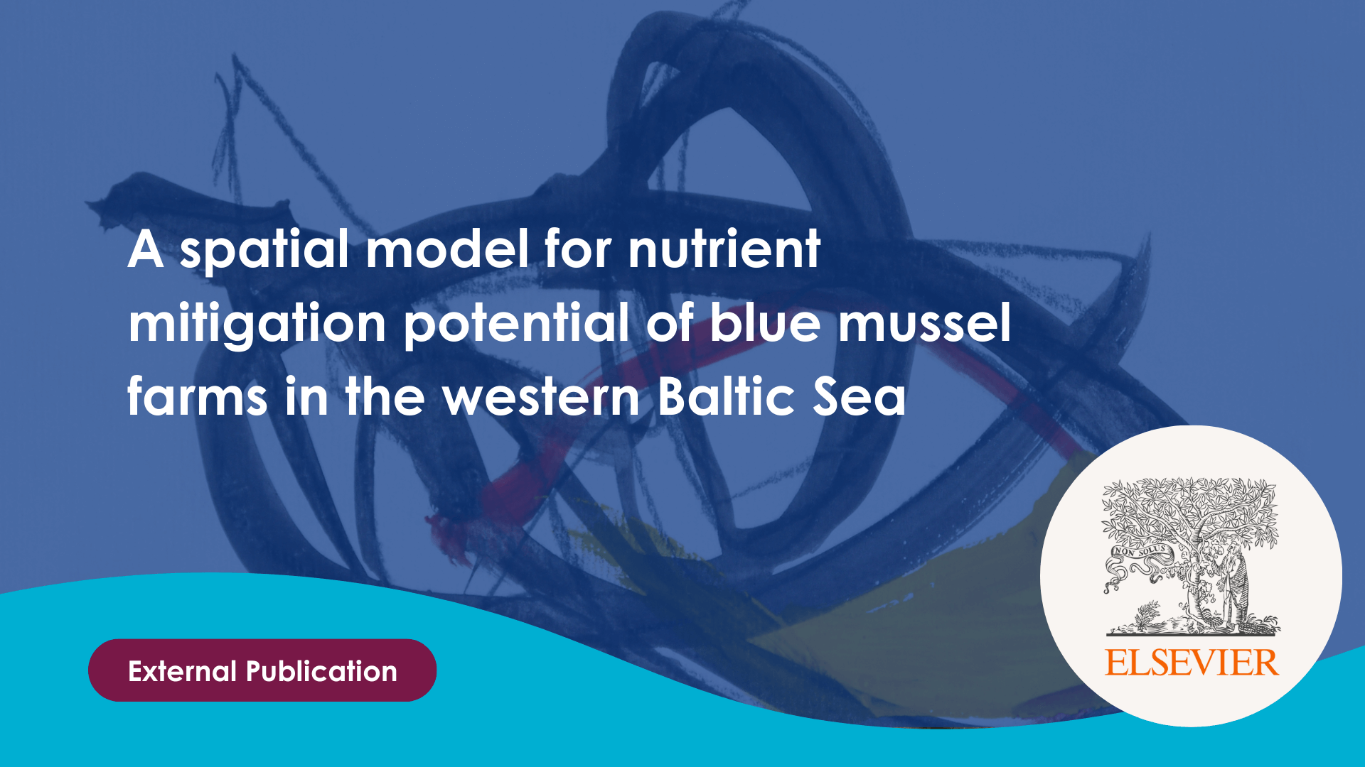 A spatial model for nutrient mitigation potential of blue mussel farms inthe western Baltic Sea ...