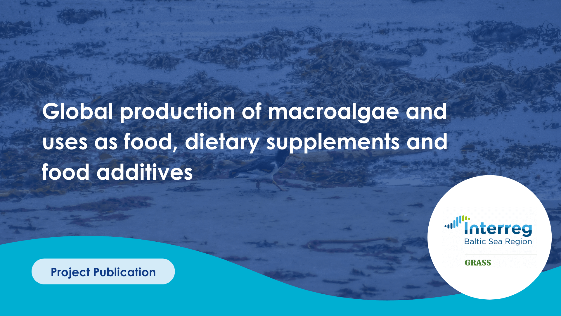 Global production of macroalgae and uses as food, dietary supplements ...