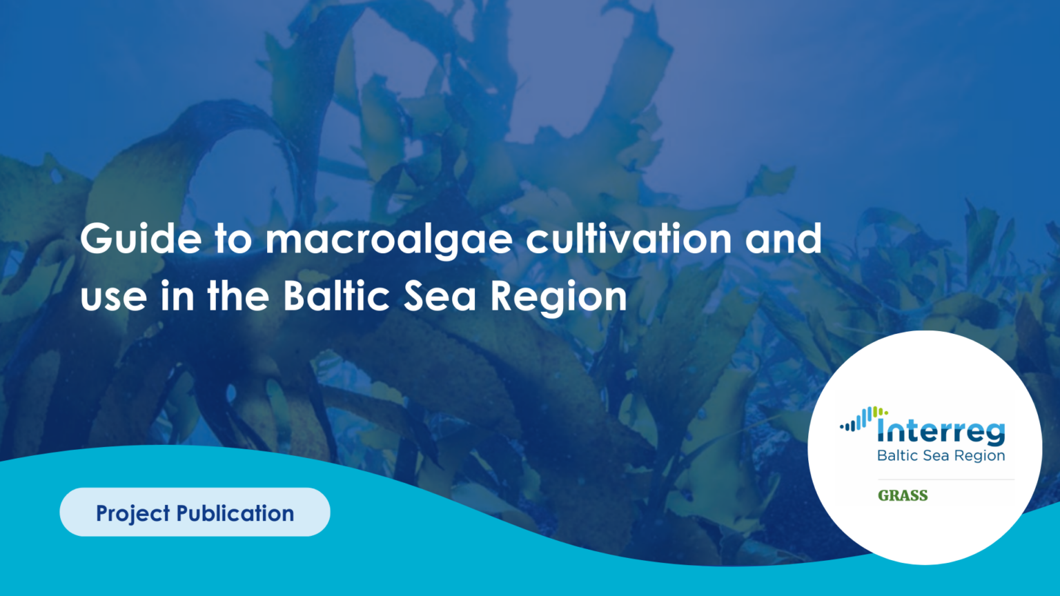 Guide to macroalgae cultivation and use in the Baltic Sea Region ...