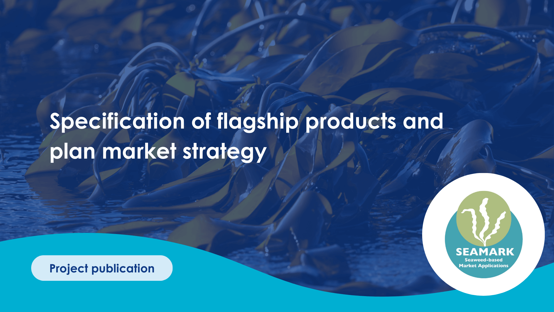 Specification of flagship products and plan market strategy ...