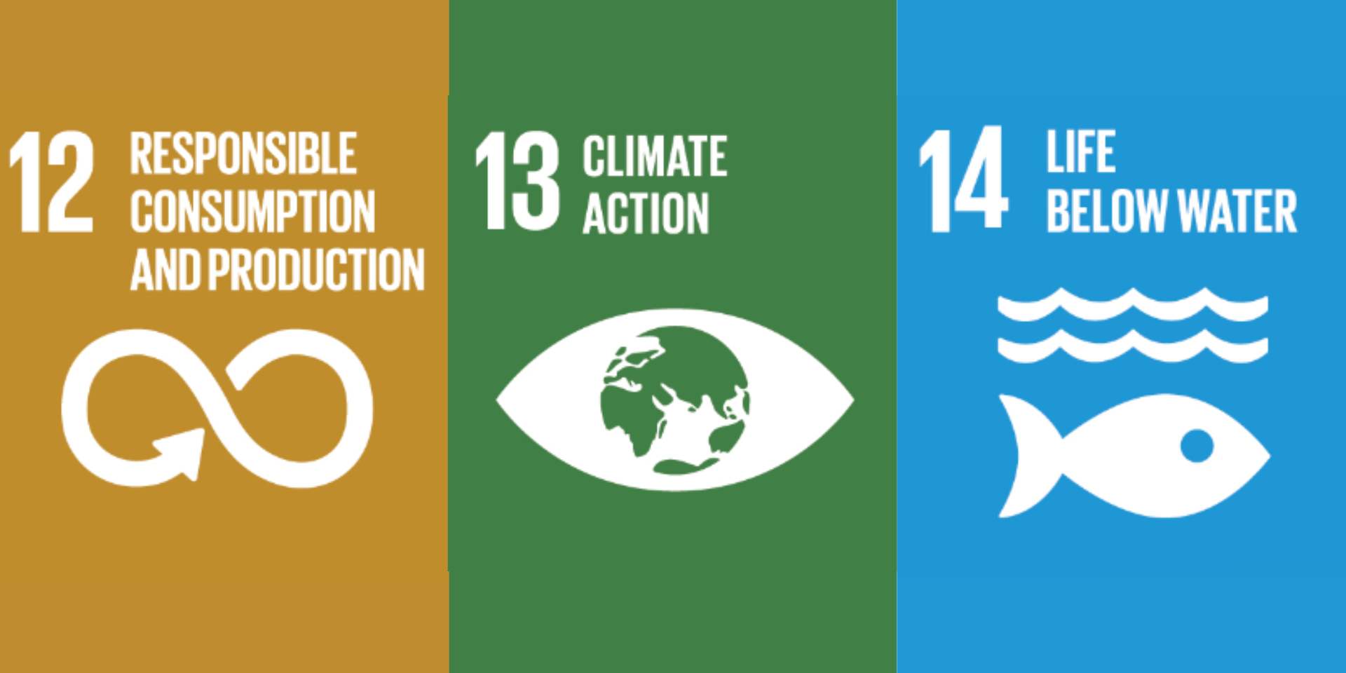 Our Vision | Submariner Network for Blue Growth