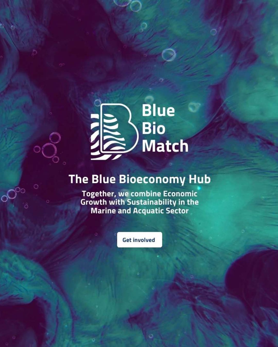 Blue opportunities | Submariner Network for Blue Growth