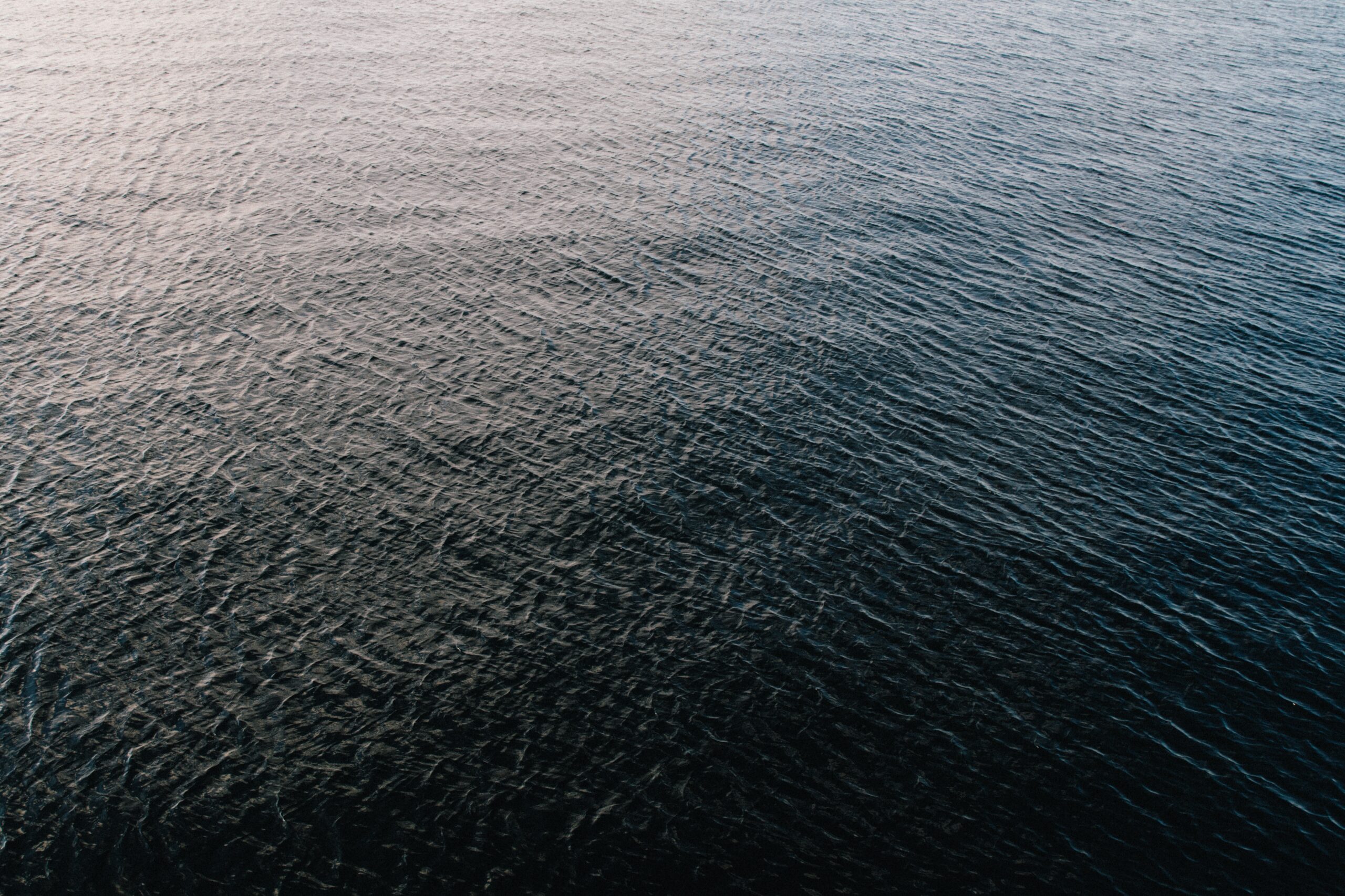 Mussel Farming in the Baltic Sea: Sweden | Submariner Network for Blue ...