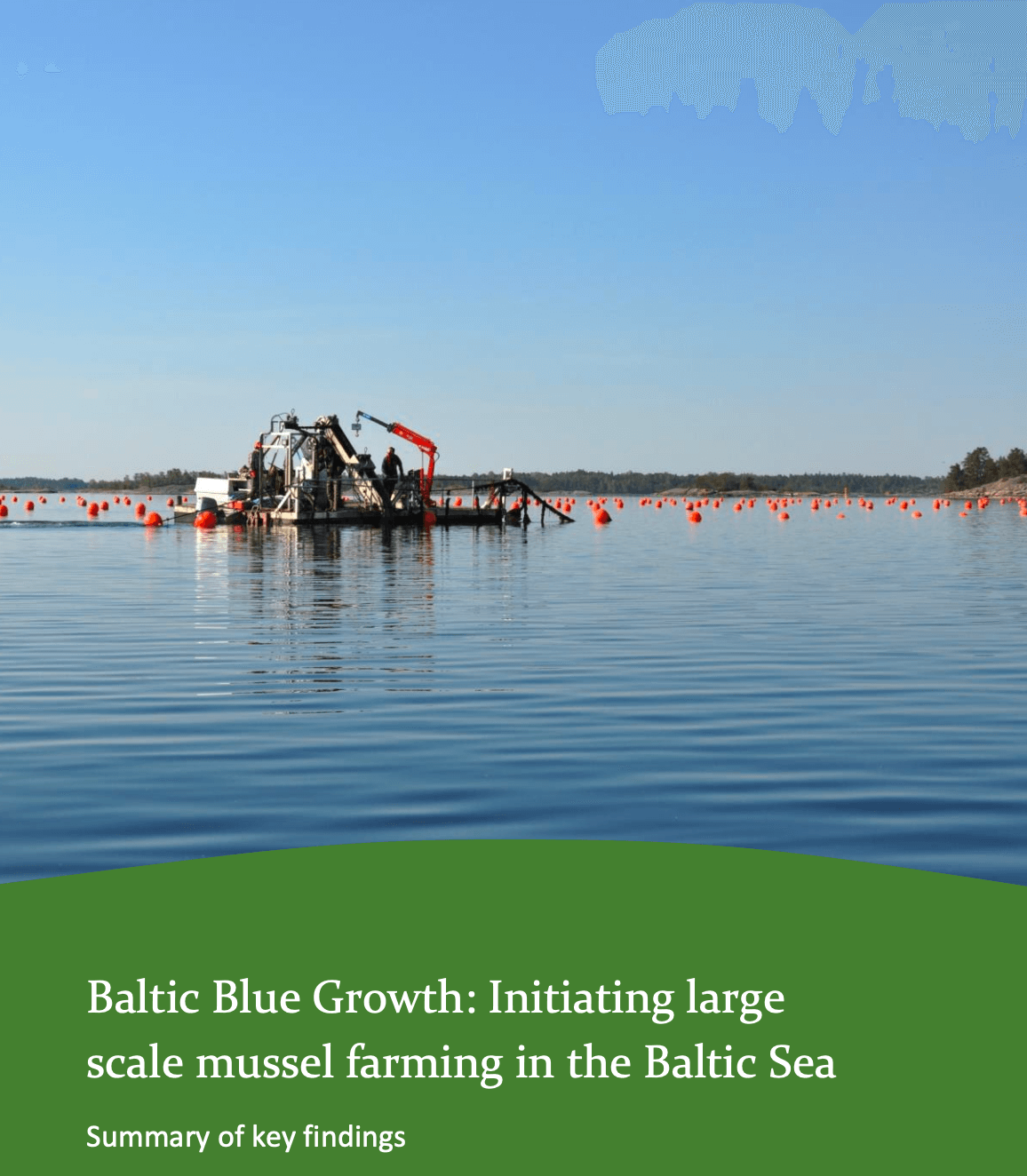 Baltic Blue Growth: Initiating Large Scale Mussel Farming in the Baltic ...