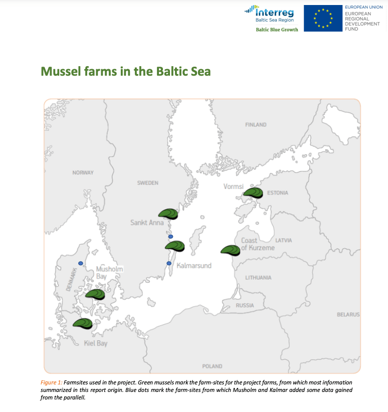 Mussel farms in the Baltic Sea | Submariner Network for Blue Growth