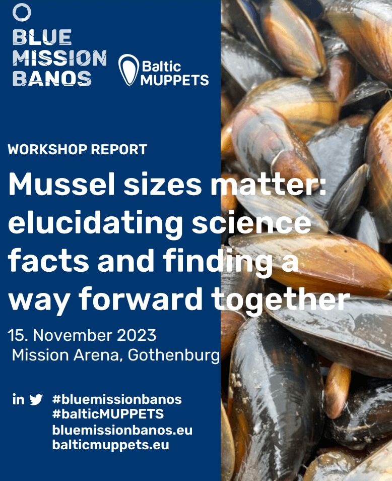 Mission Arena Workshop report: “Mussel sizes matter” | Submariner ...