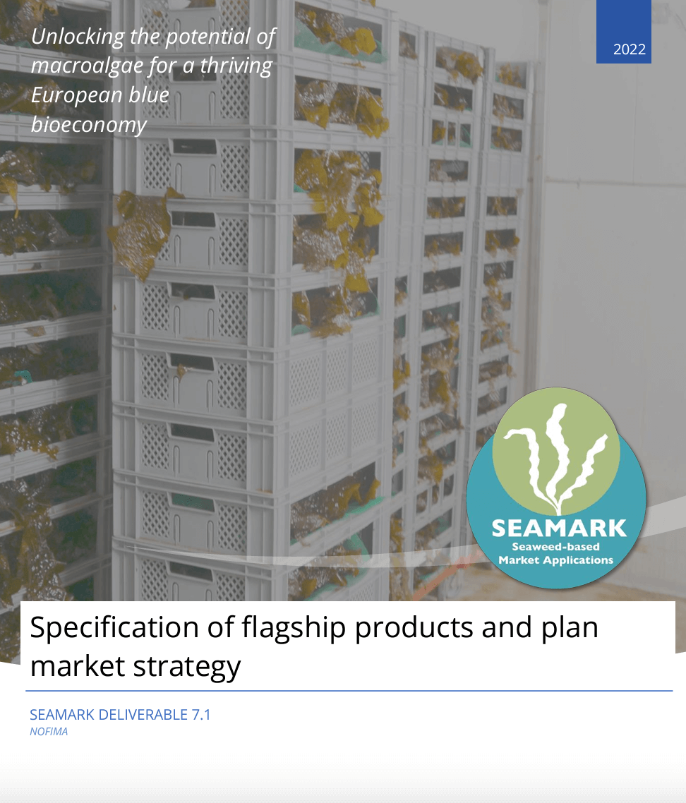 Specification of flagship products and plan market strategy ...
