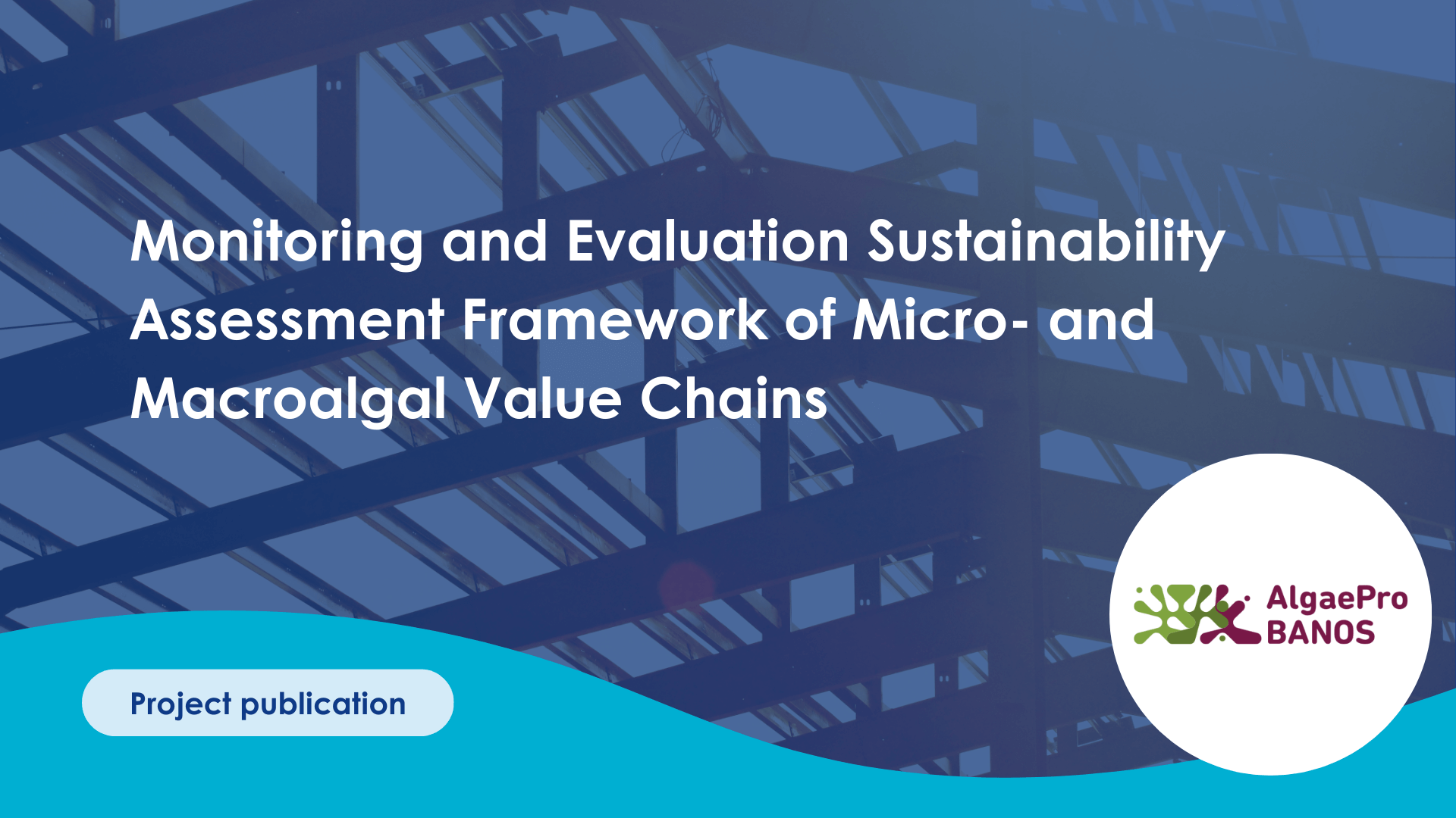 Monitoring and Evaluation Sustainability Assessment Framework of Micro ...