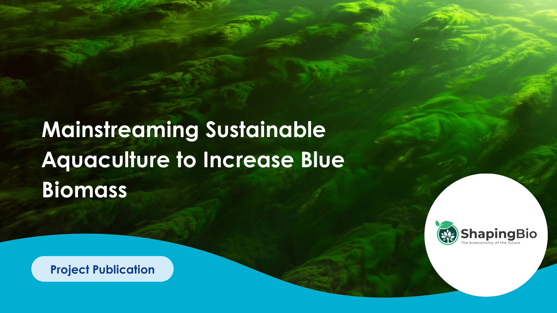 Mainstreaming Sustainable Aquaculture to Increase Blue Biomass ...